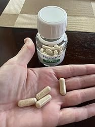 Amazon.com : Florastor Advanced Gas & Bloat Probiotic and Digestive Supplement – Digestive ...