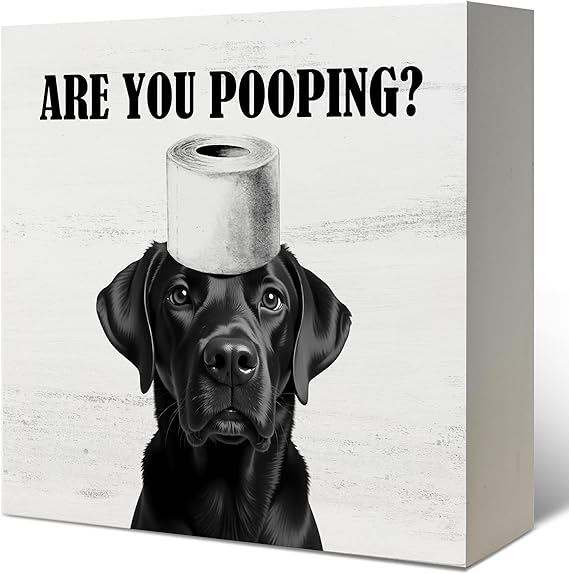 Amazon.com: LUKIPOM Funny Black Labrador Retriever Bathroom Wooden Box ...