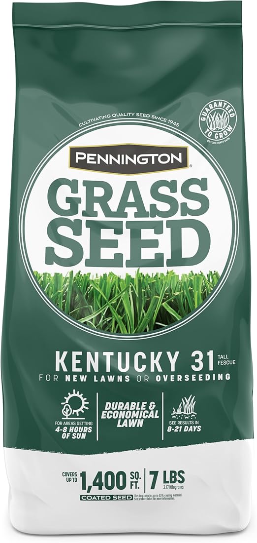 Amazon.com: Pennington Kentucky 31 Tall Fescue Penkoted Grass Seed 7 lb
