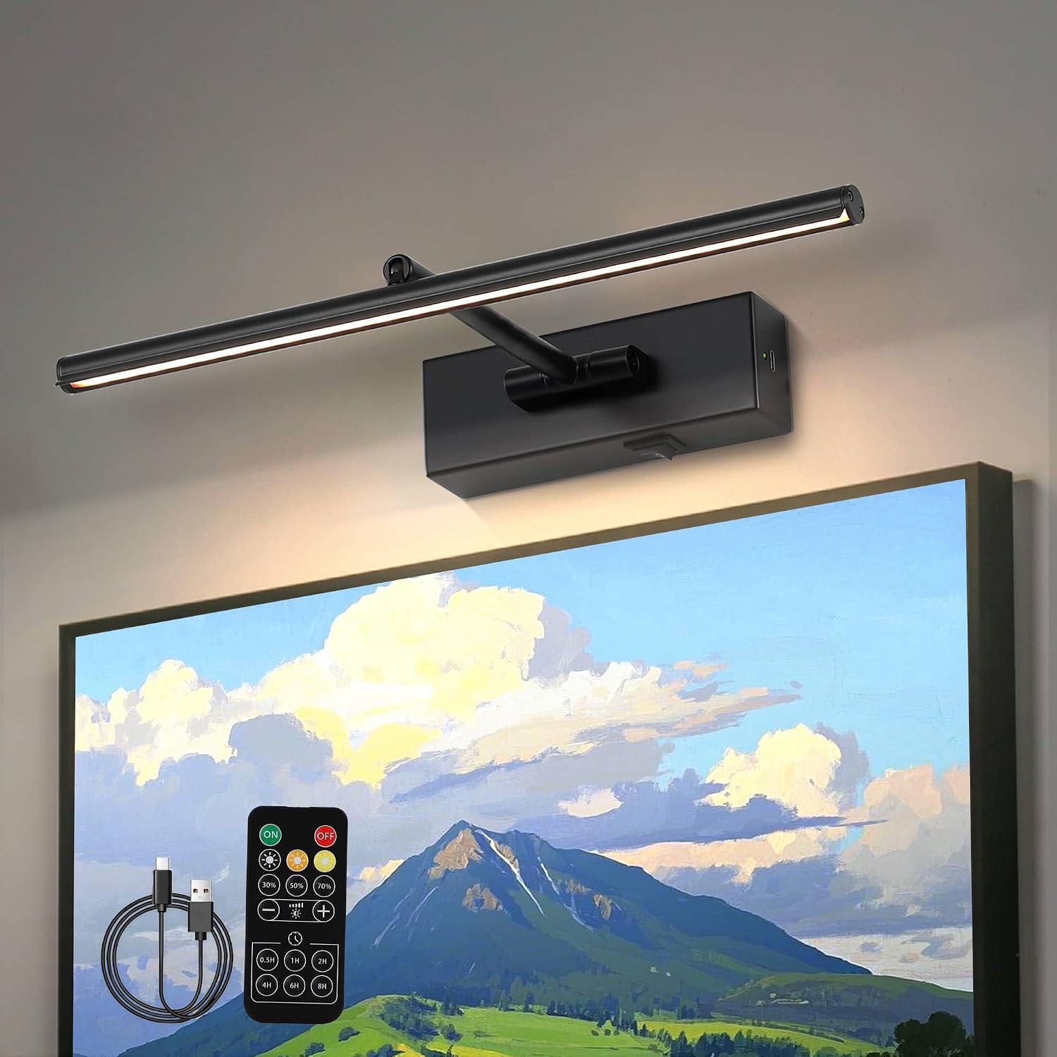 Battery Operated Picture Light with Wireless Remote 3CCT Dimmable Black ...