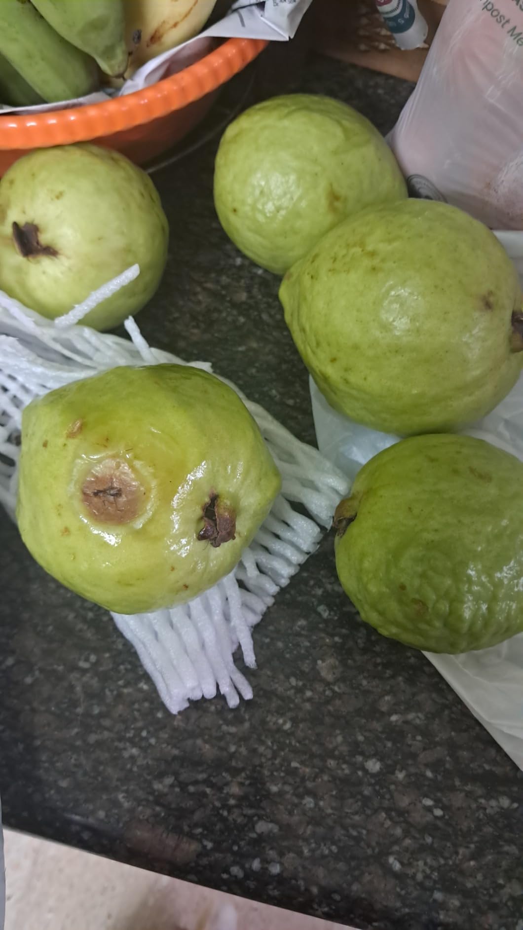 Fresh Thai Guava, 1kg : Amazon.in: Grocery & Gourmet Foods