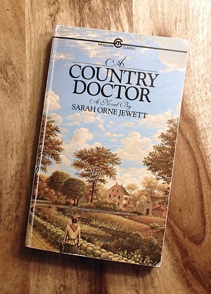A Country Doctor: A Novel: Jewett, Sarah Orne, Boyum, Joy Gould ...