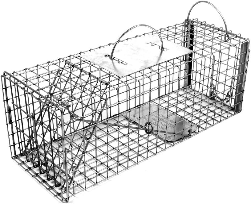 Amazon.com : Tomahawk Live Trap - Model 604.5 - Original Series Rigid ...