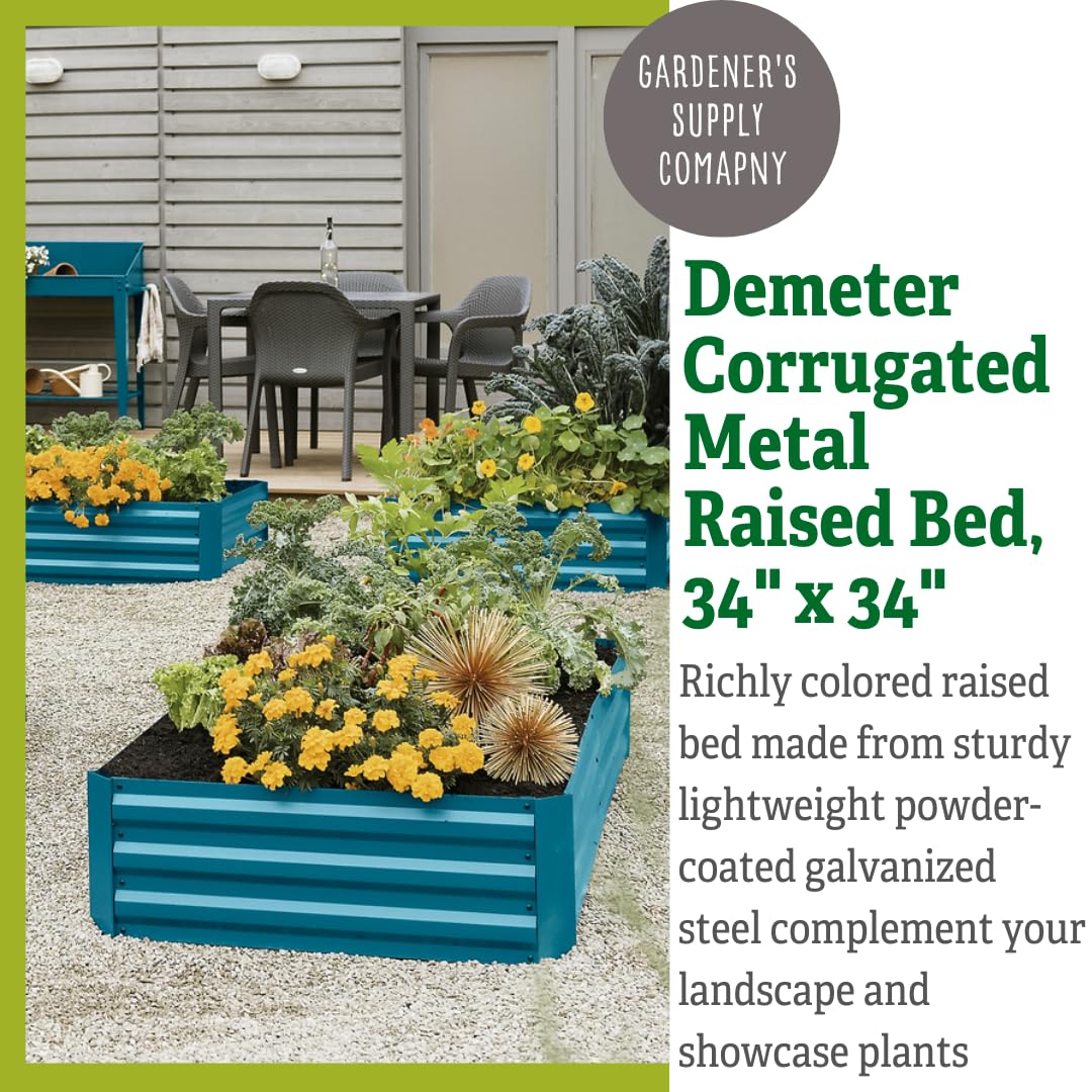 Corrugated Raised 4x4 Garden Amazon.com: OUSHENG 4x4x1ft Round