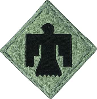 Amazon.com: 45th Infantry Brigade ACU Patch with Fastener : Clothing ...
