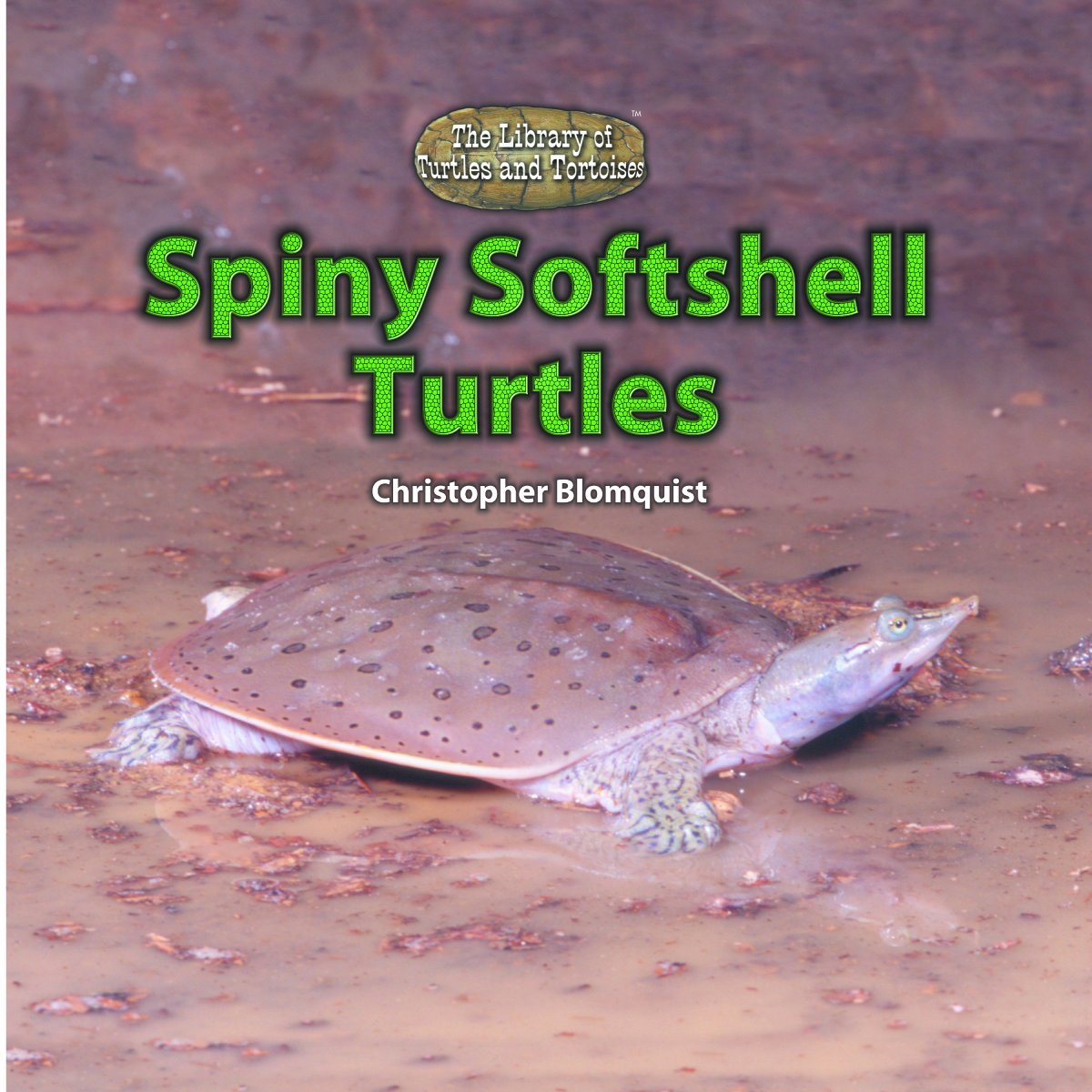 Spiny Softshell Turtles: Blomquist, Christopher: 9780823967377: Books ...