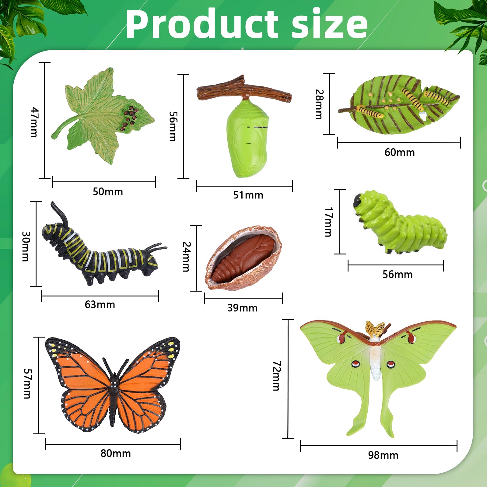 Cycle De Vie Du Papillon Monarque Cartes Du Cycle De Vie Du Papillon