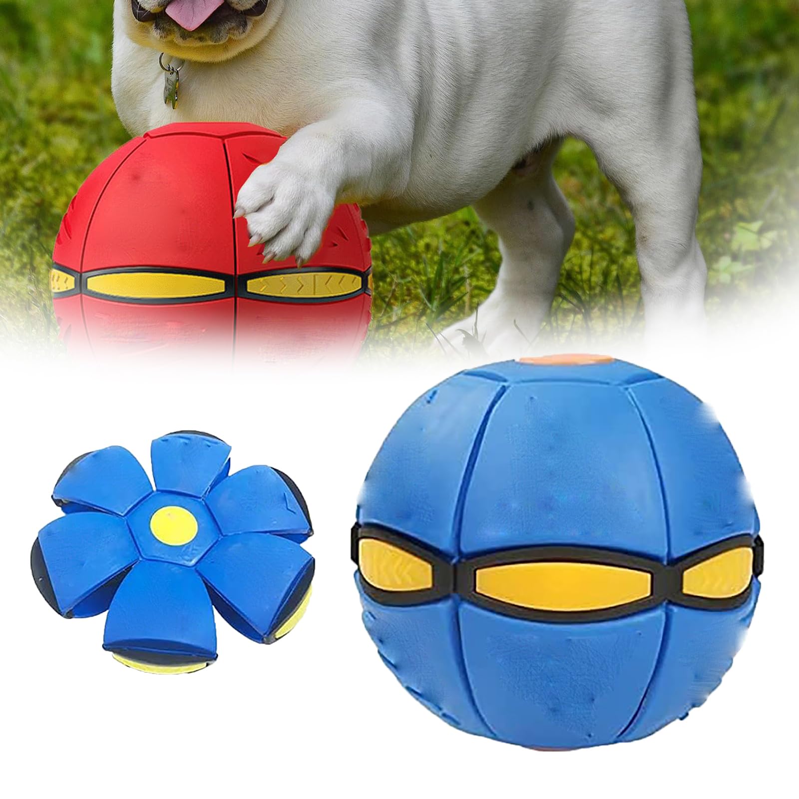 Amazon.com : The Doggy Disc Ball for Large Dogs|Small Dogs|Medium Dogs ...