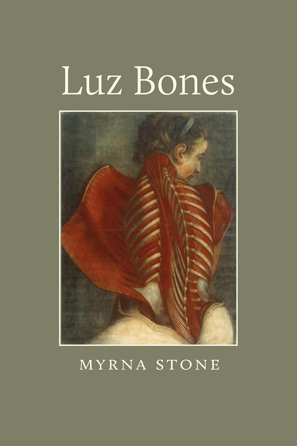Amazon.com: Luz Bones: 9780997745511: Stone, Myrna: Books
