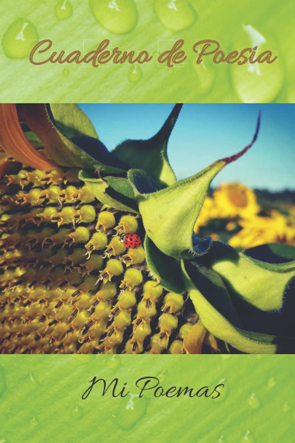 Buy Cuaderno de Poesia: CP-69-ES-037 Cuaderno de poemas para escribir ...