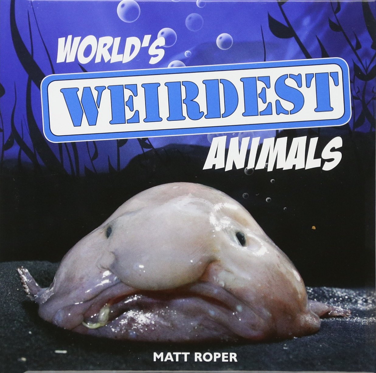 World's Weirdest Animals: Roper, Matt: 9781840247497: Amazon.com: Books