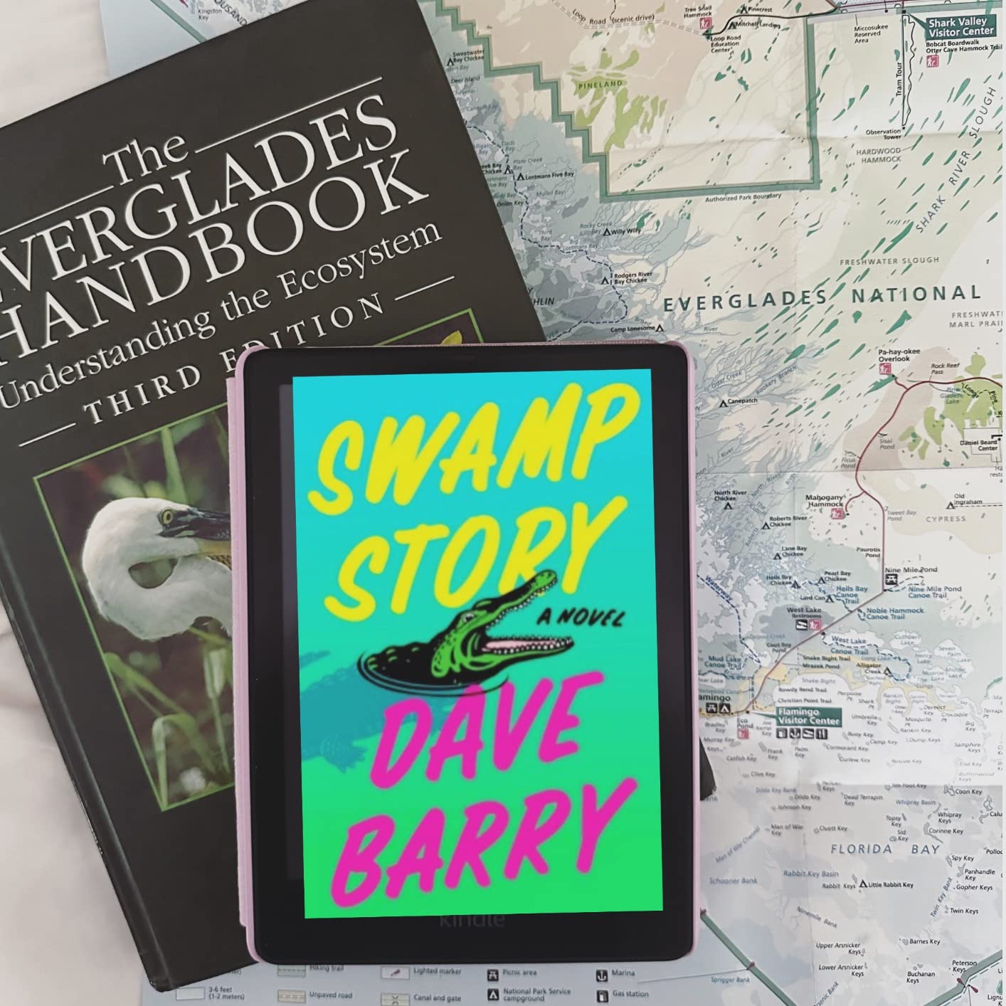 Amazon.com: Swamp Story: A Novel: 9781982191337: Barry, Dave: Books