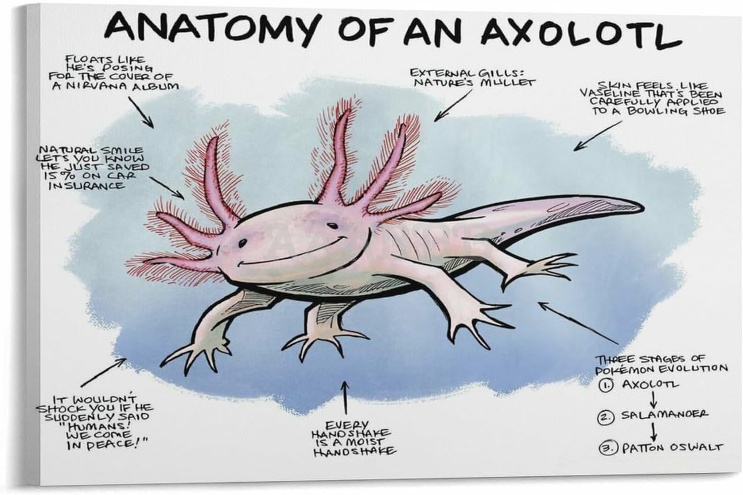 Amazon.com: MJFHERQ Anatomy Of An Axolotl Axolotls Funny Biology ...