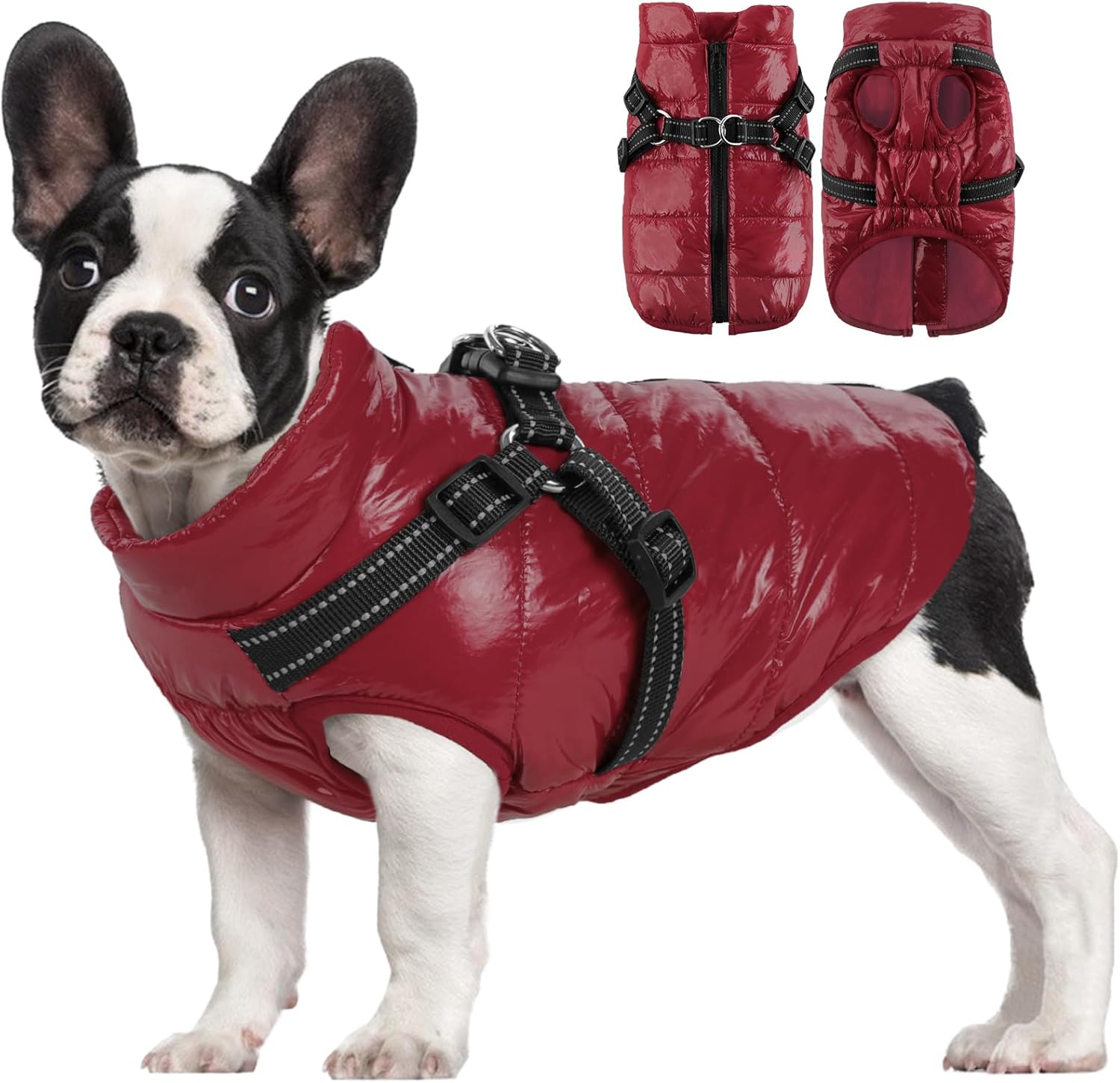 Amazon.com : AOFITEE Small Dog Coat with Harness Built in, Waterproof Dog Jacket Winter Snowsuit ...