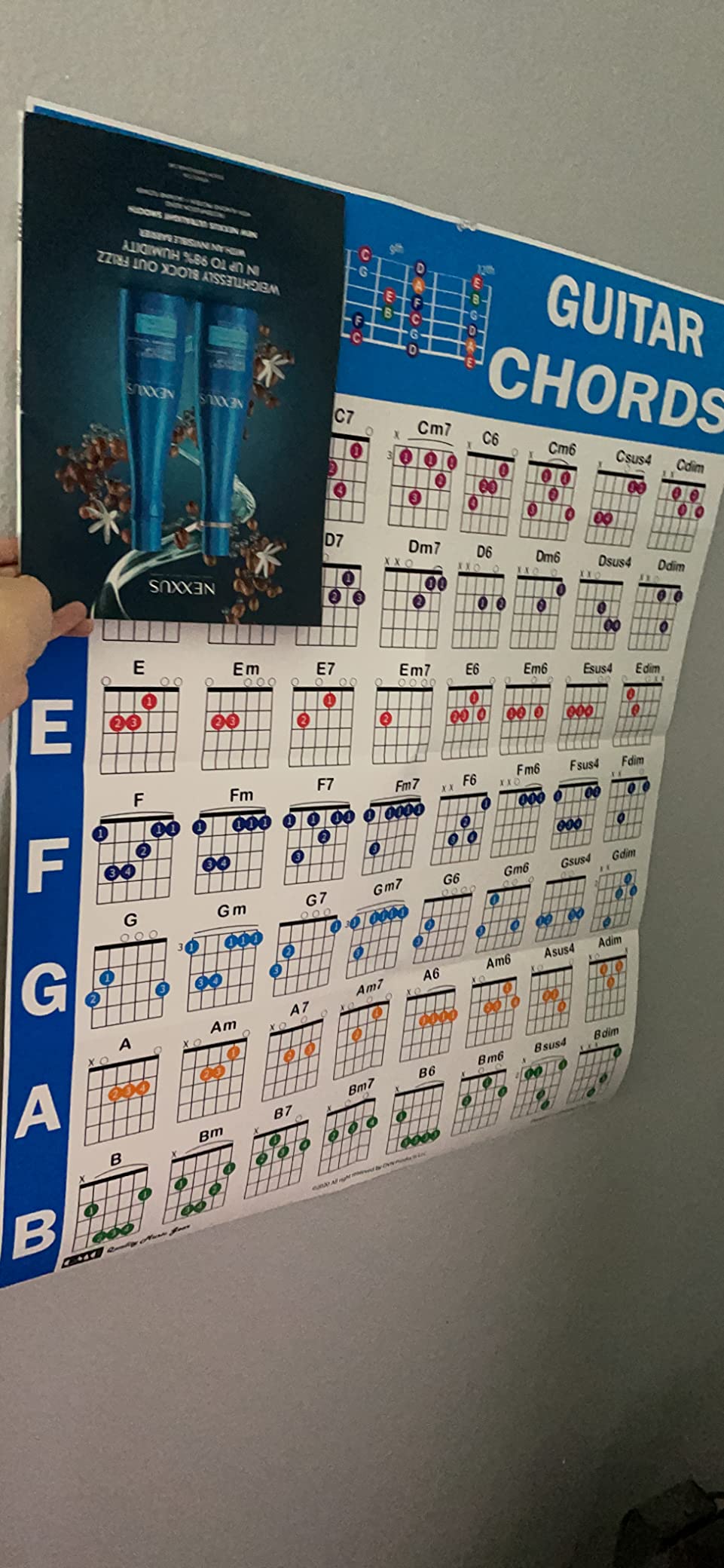 Guitar Chord Poster, 8 X 11 Inch Lainated Chart Poster Music Nomad