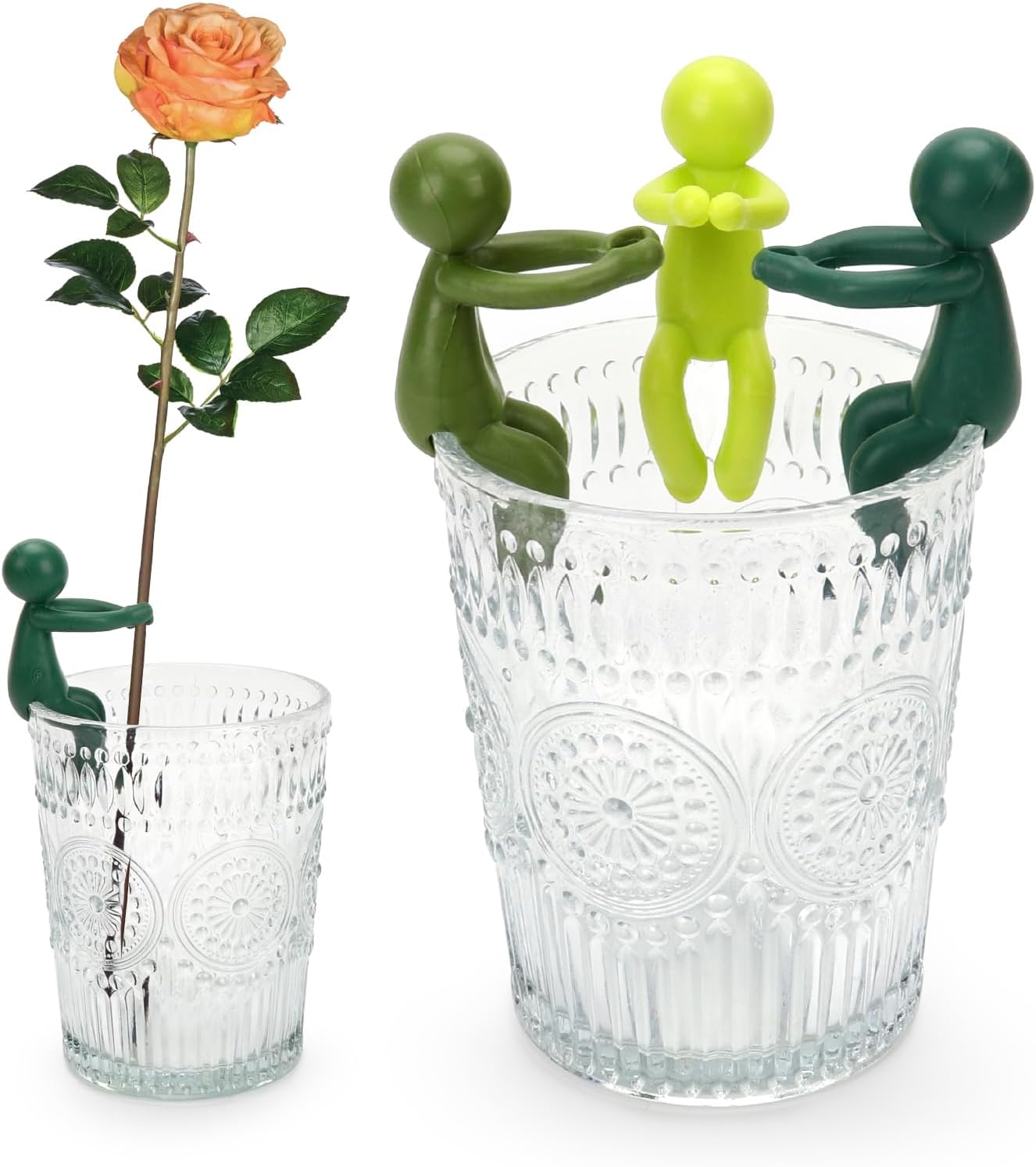 Amazon.com : Vidspl Plant Propagation Friends, Plant Cutting Holder ...