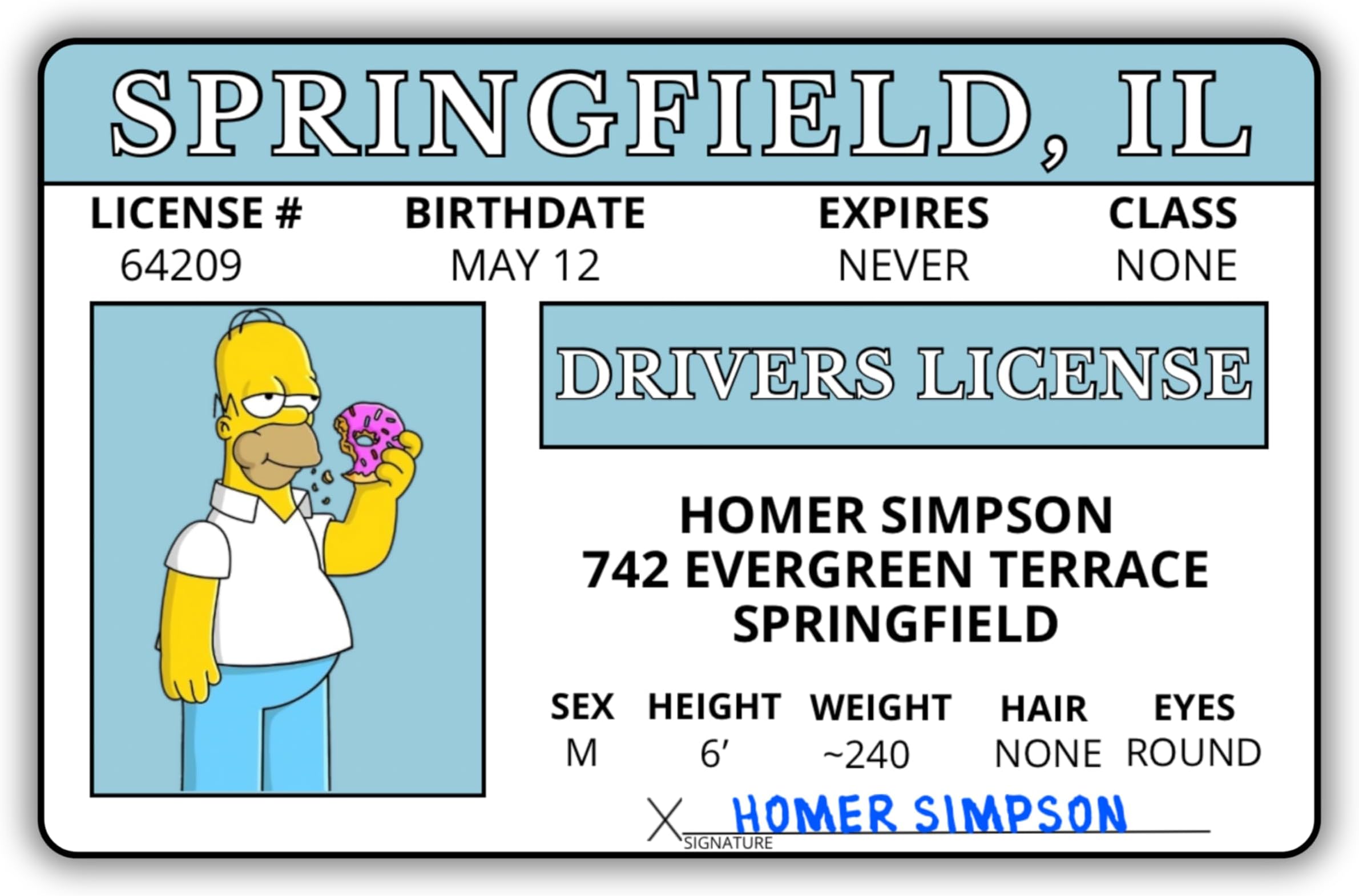 Amazon.com: Homer Simpson Driver License ID/Funny Plastic License ...