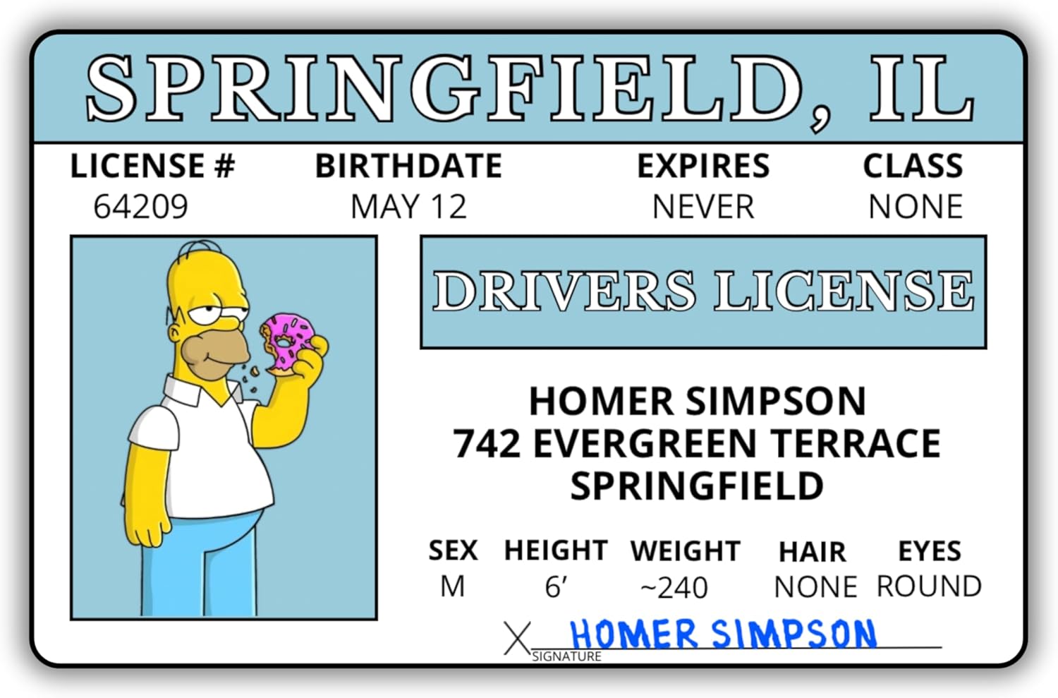 Amazon.com: Paquete de 3 tarjetas de identificación de licencia de ...