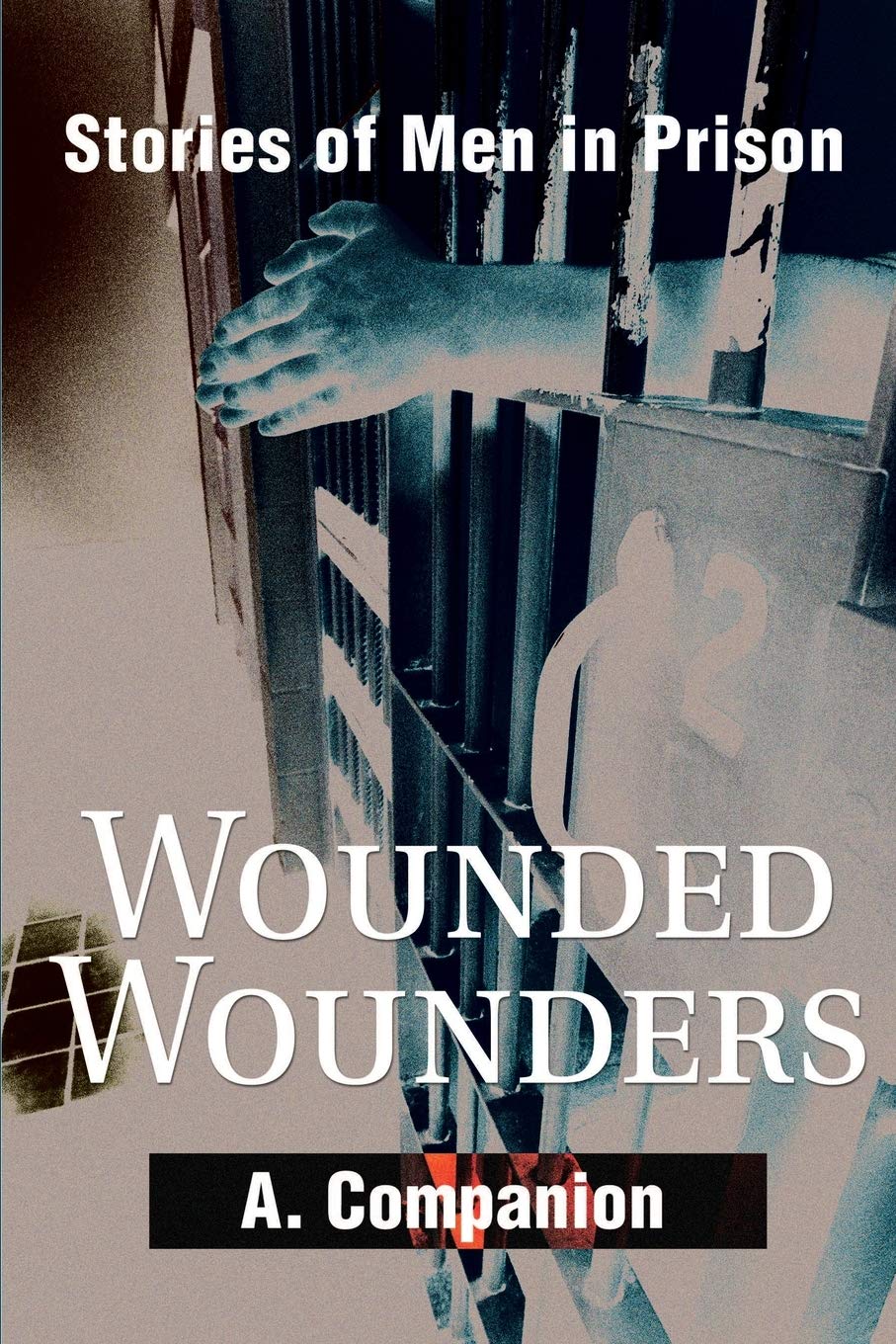 Wounded Wounders: Stories of Men in Prison: Companion, A ...