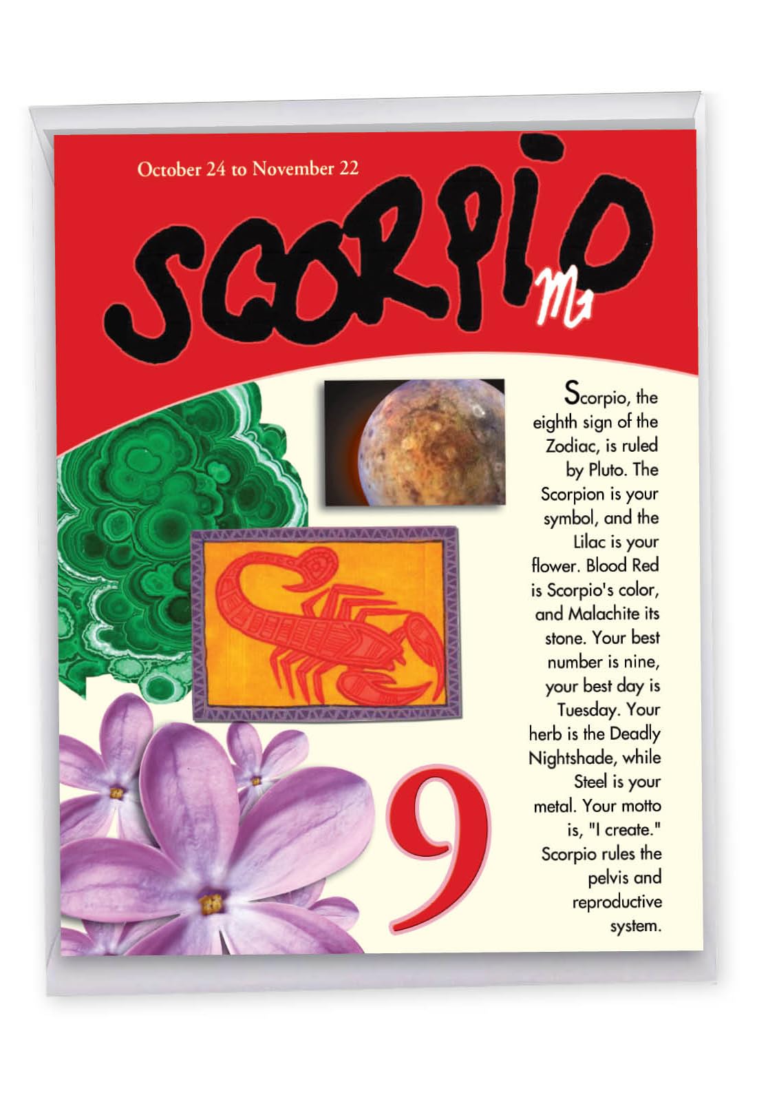 Nov 9 zodiac personality - Horoscopeaz.com