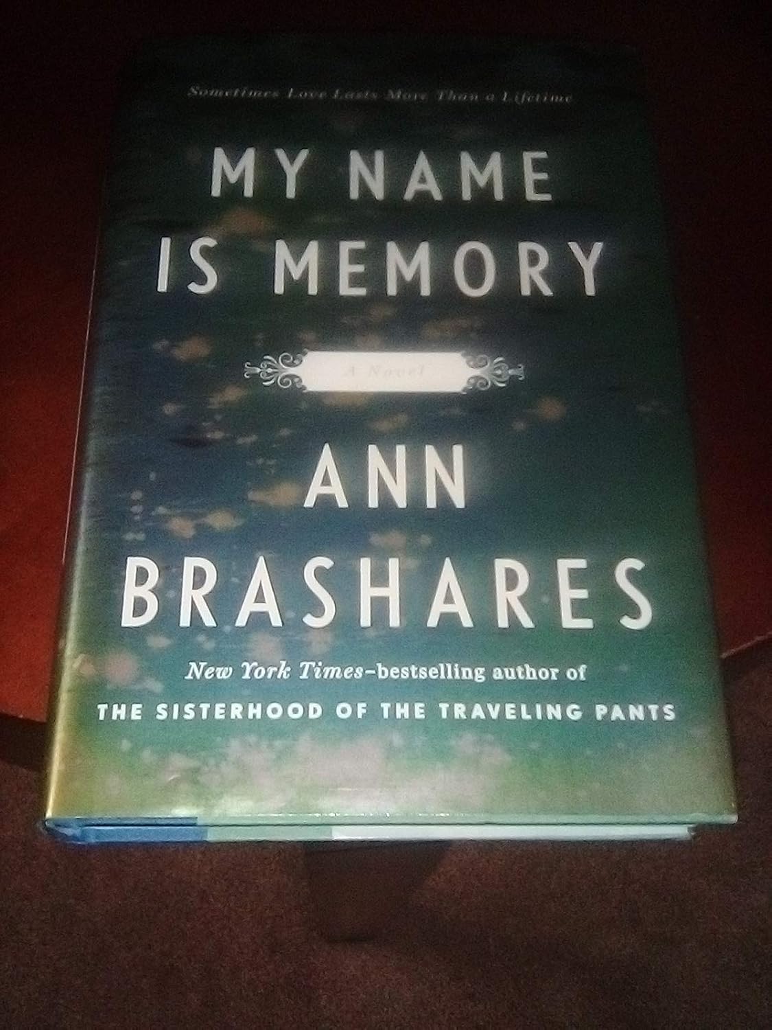My Name Is Memory: Ann Brashares: 9780340953495: Amazon.com: Books