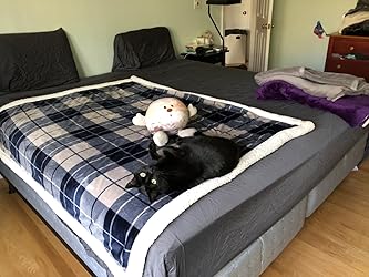 Amazon.com: Celestial Buddies Jupiter Buddy Science Astronomy Space ...