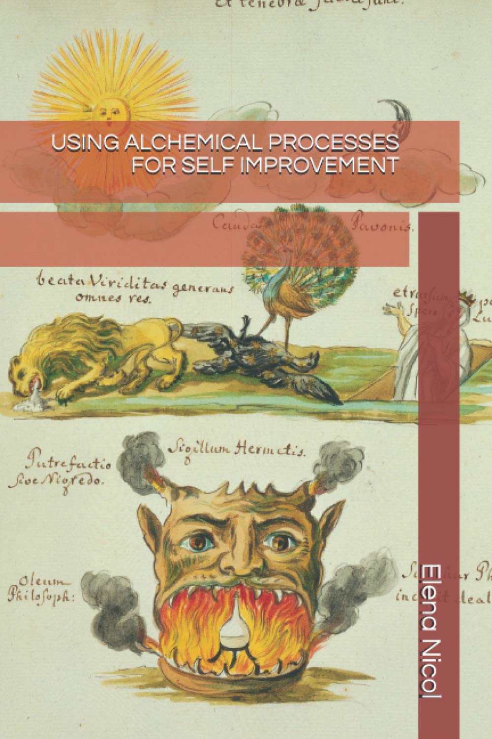Amazon.com: USING ALCHEMICAL PROCESSES FOR SELF IMPROVEMENT ...