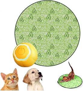 Amazon.com : GNAIJEZZ 2 in 1 Simulated Interactive Hunting Cat Toy Ball ...