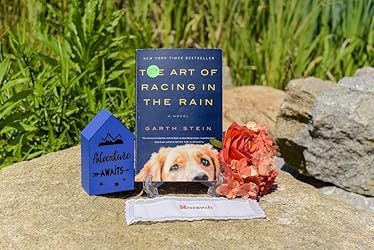 The Art of Racing in the Rain: Stein, Garth: 9780061537936: Amazon.com ...