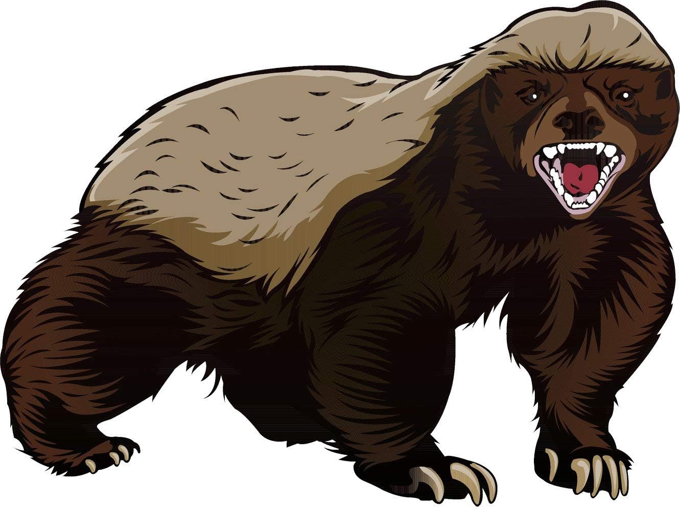 Amazon.com: Angry Roaring Wild Badger Cartoon Vinyl Decal Sticker 5 ...