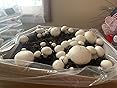 Amazon.com : White Button Mushroom Growing Kit ~ Makes it Easy to Grow ...