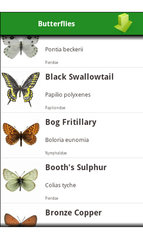 North American Butterflies - App on Amazon Appstore