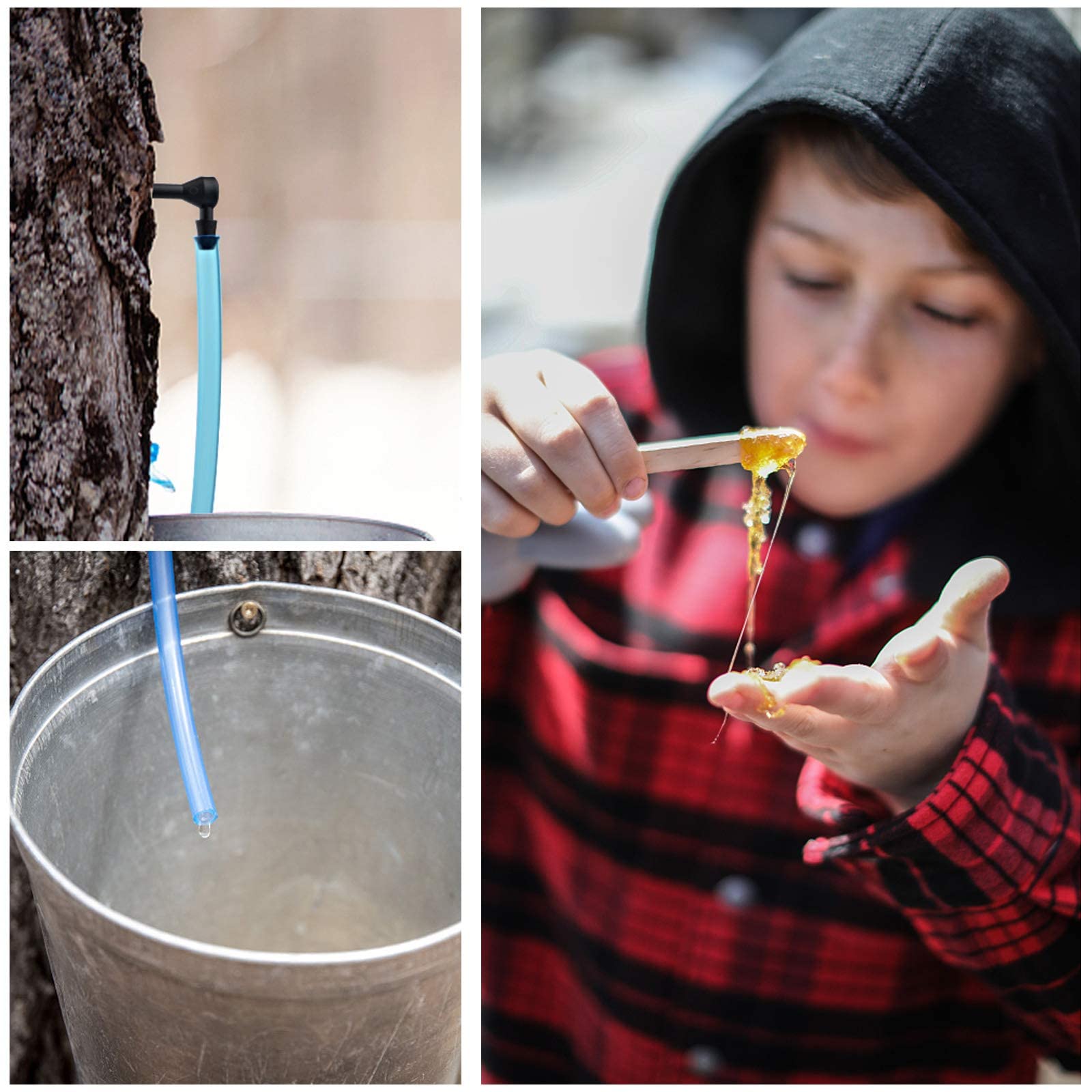 Mcjs 12 Pack Maple Syrup Tree Tapping Kit Plastic Maple | Desertcart Angola