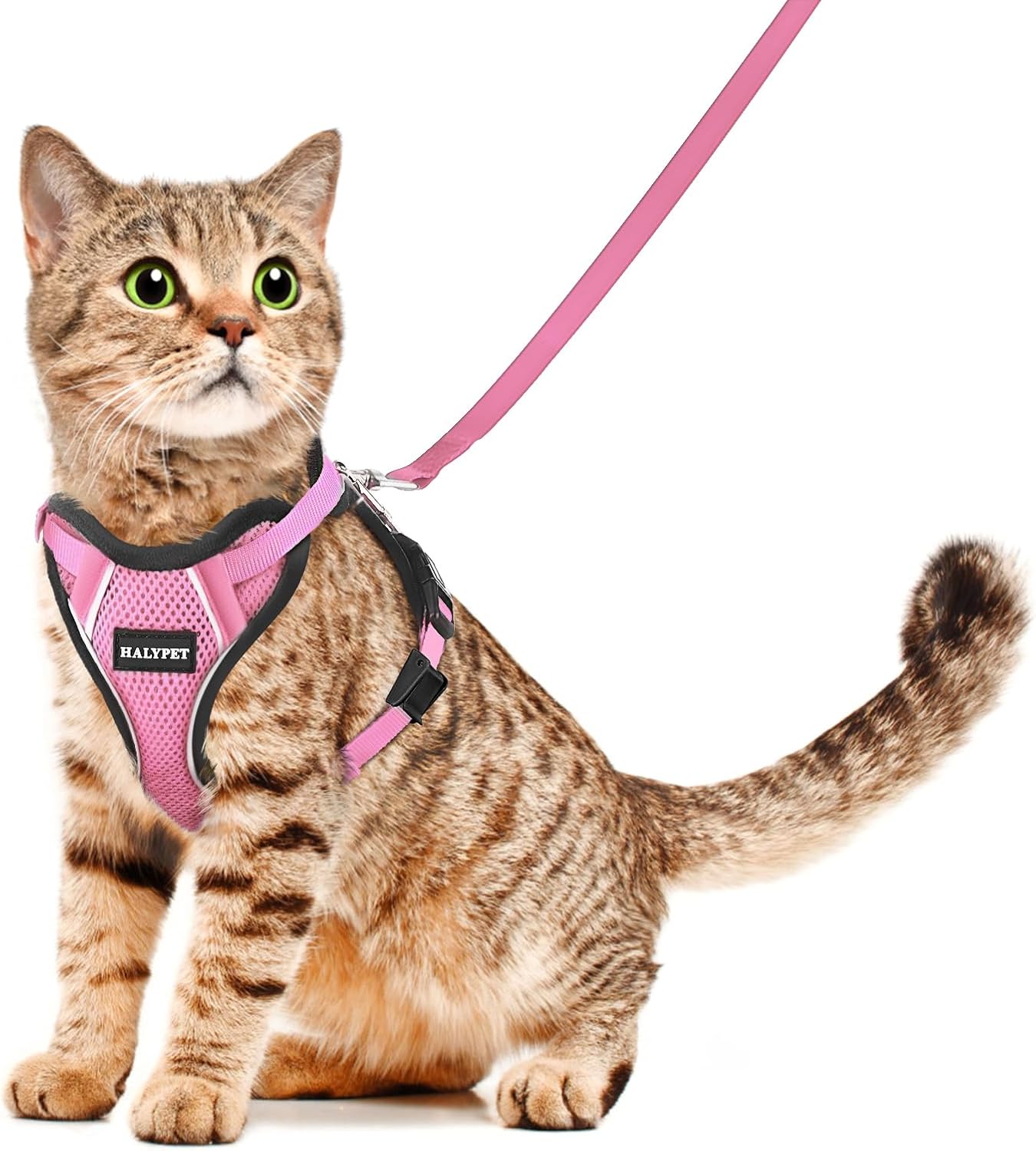 Amazon.com : Halypet Cat Harness and Leash Set [H500 Pro Escape Proof ...