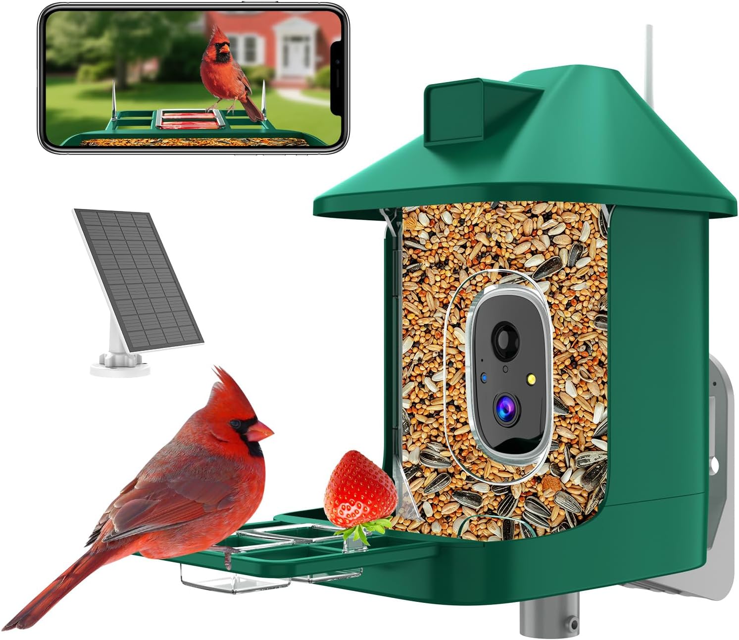Amazon.com: Bird Feeder with Camera,2K Live View,WiFi Smart Bird House with Cam Solar Powered ...