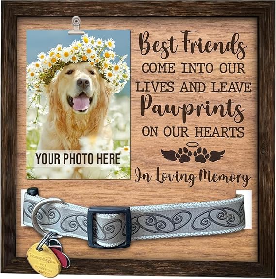 Amazon.com: Pawfect House Dog Memorial Gifts For Loss Of Dog, Pet Loss ...