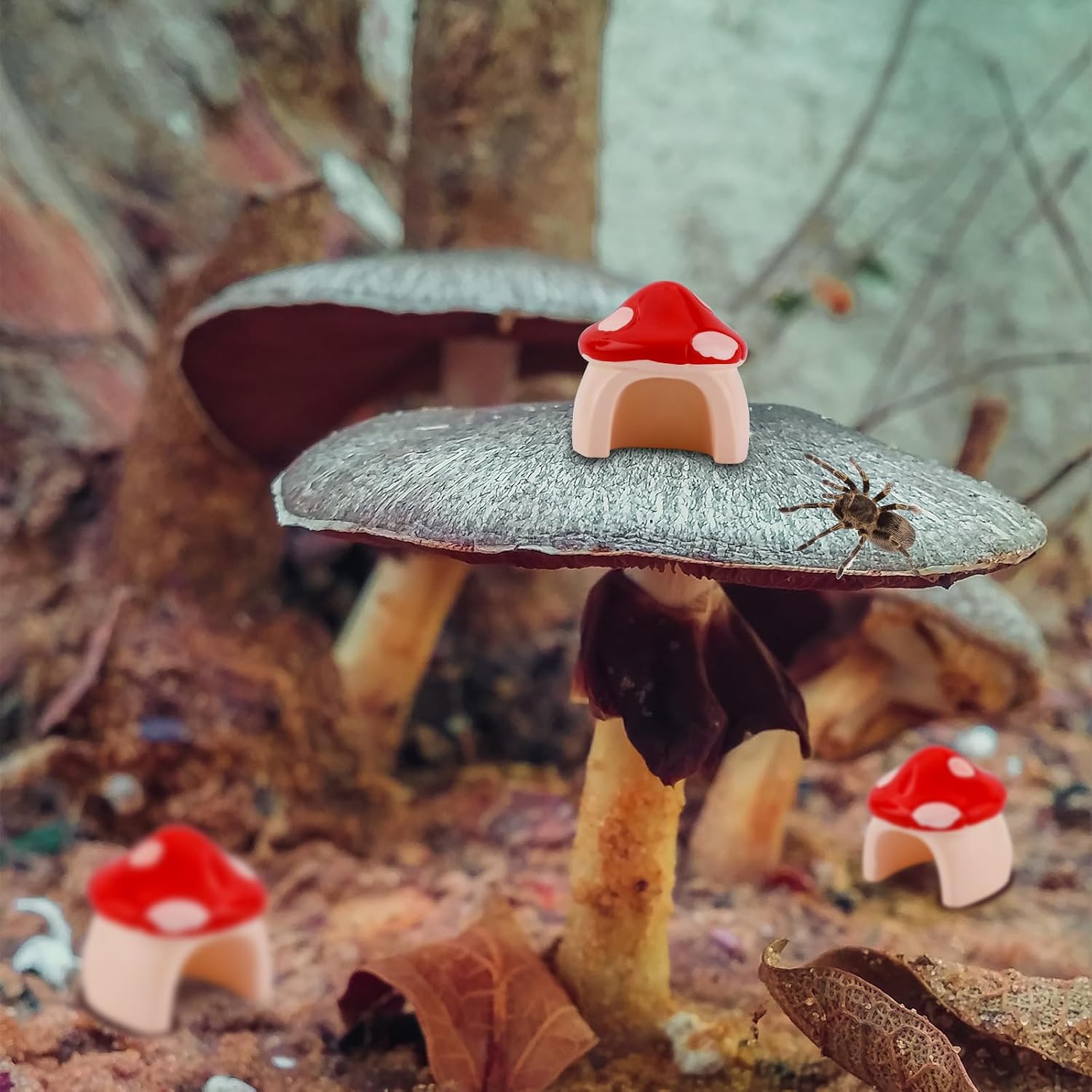 Gosknor 3pcs Jumping Spider Mushroom Hide for Spoods, Resin Jumping ...