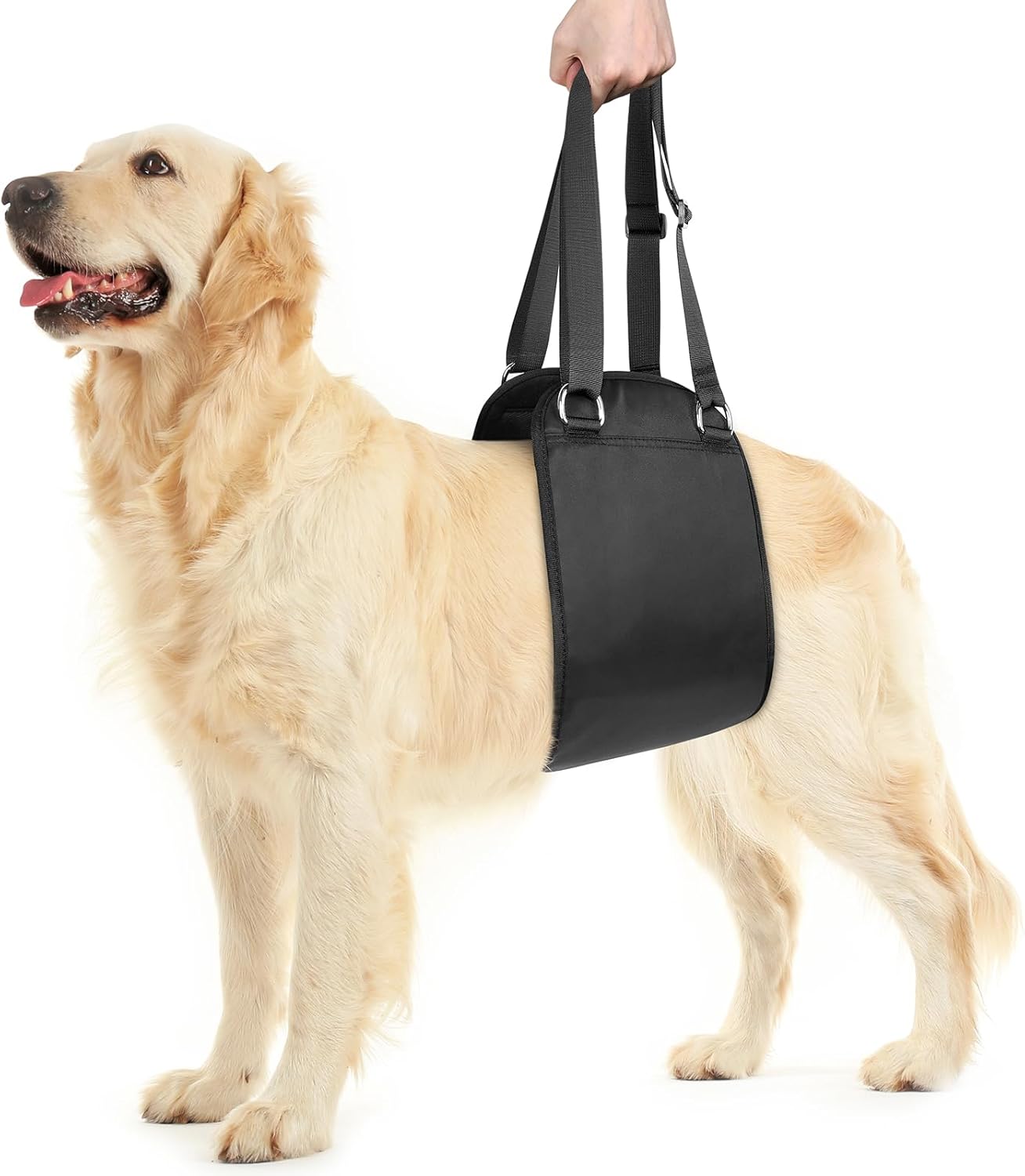 Amazon.com : KOSKILL Dog Lift Harness Adjustable Dog Sling for Small ...