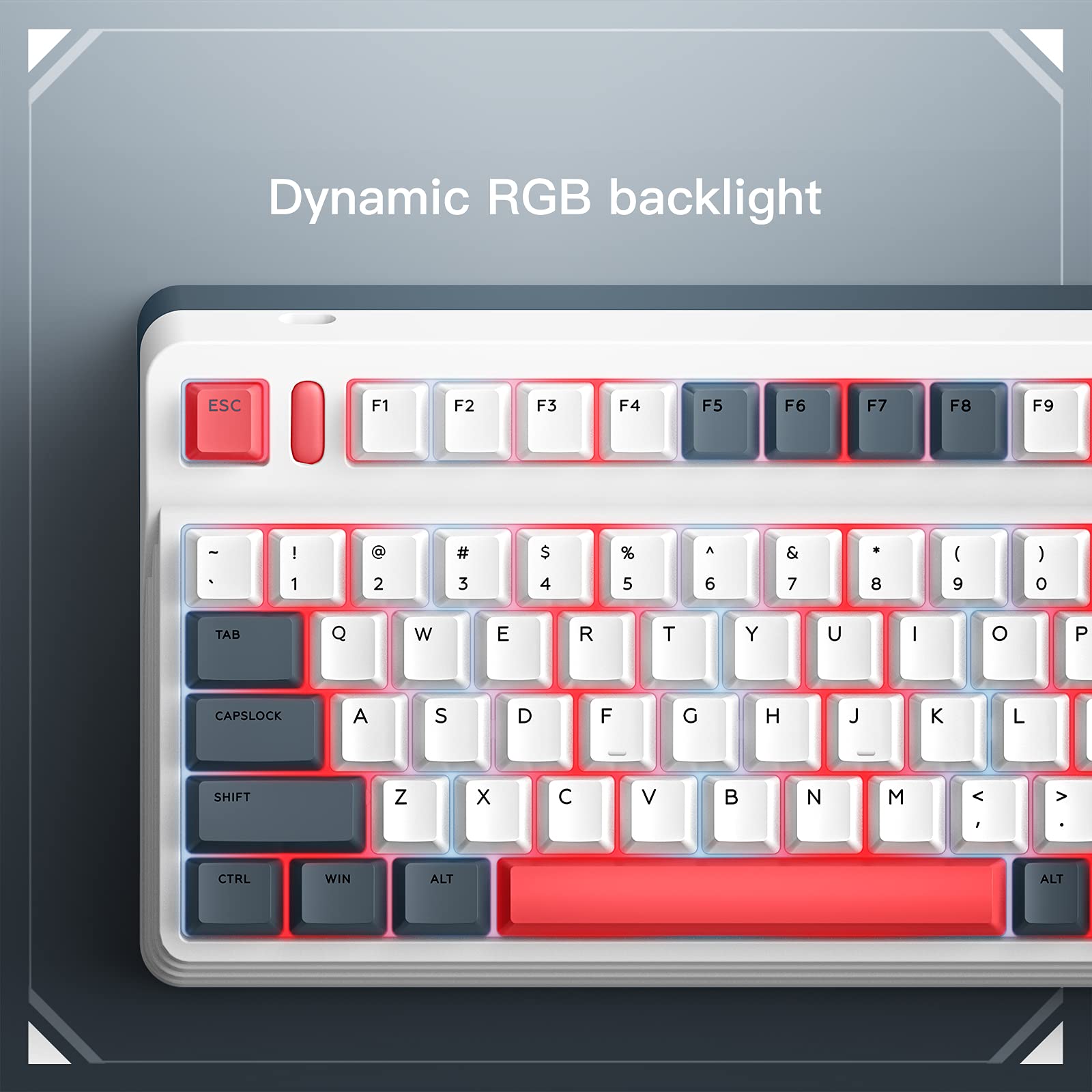 Buy iQunix L80 Gaming Keyboard, 2.4G Wireless Mechanical Keyboard with ...