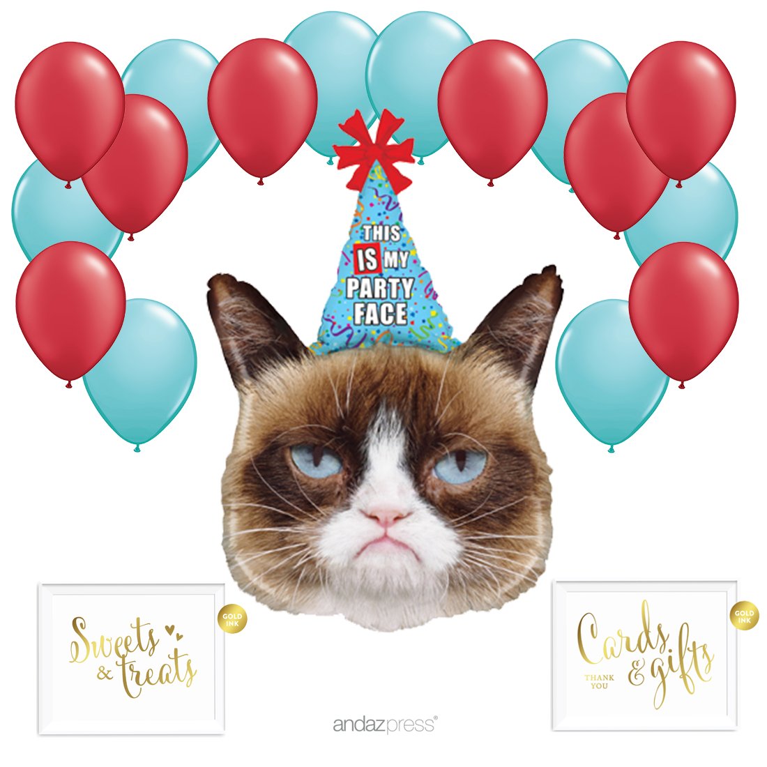 Birthday Party Grumpy Cat