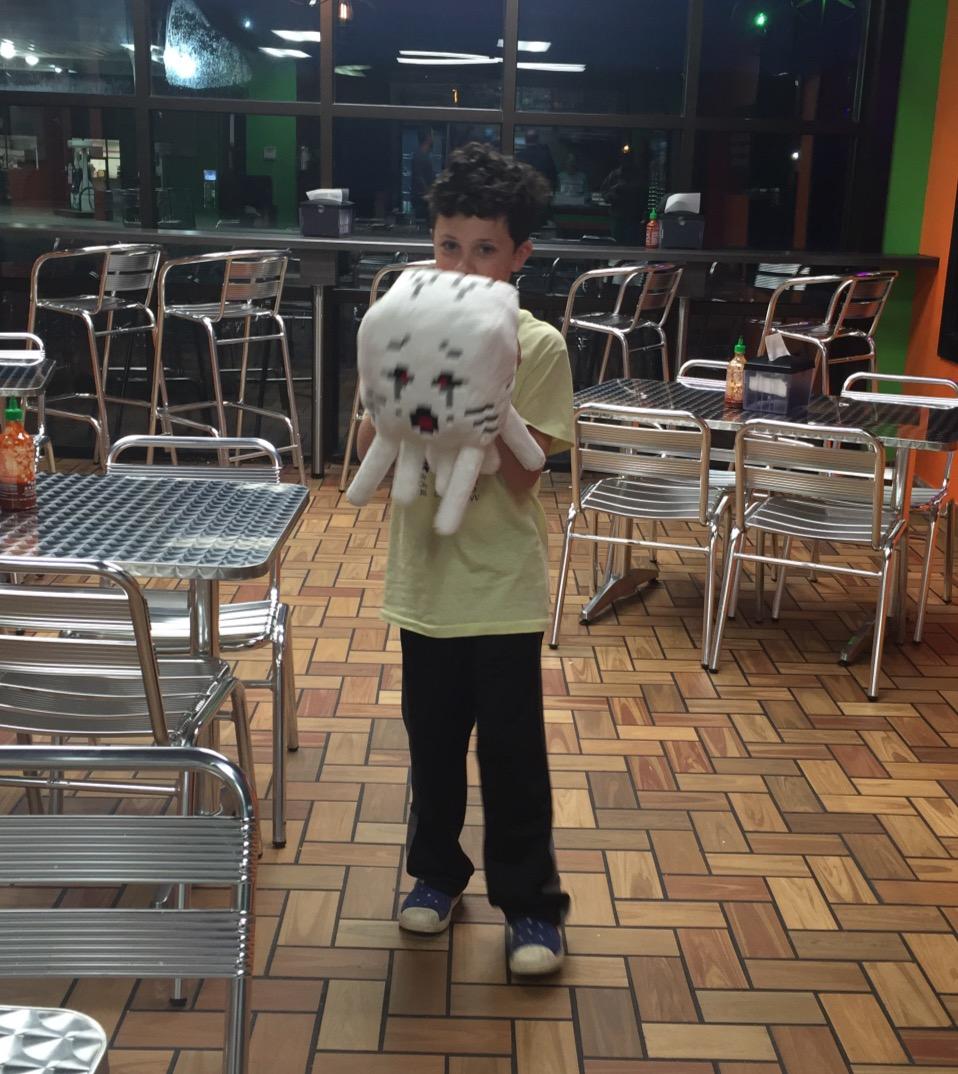 Amazon.com: JINX Minecraft Ghast Plush Stuffed Toy, White, 13" Tall ...