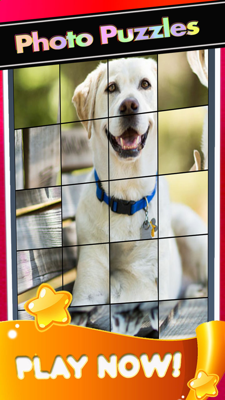 Labrador Retriever-Labrador Dogs Puzzle Game - App on Amazon Appstore