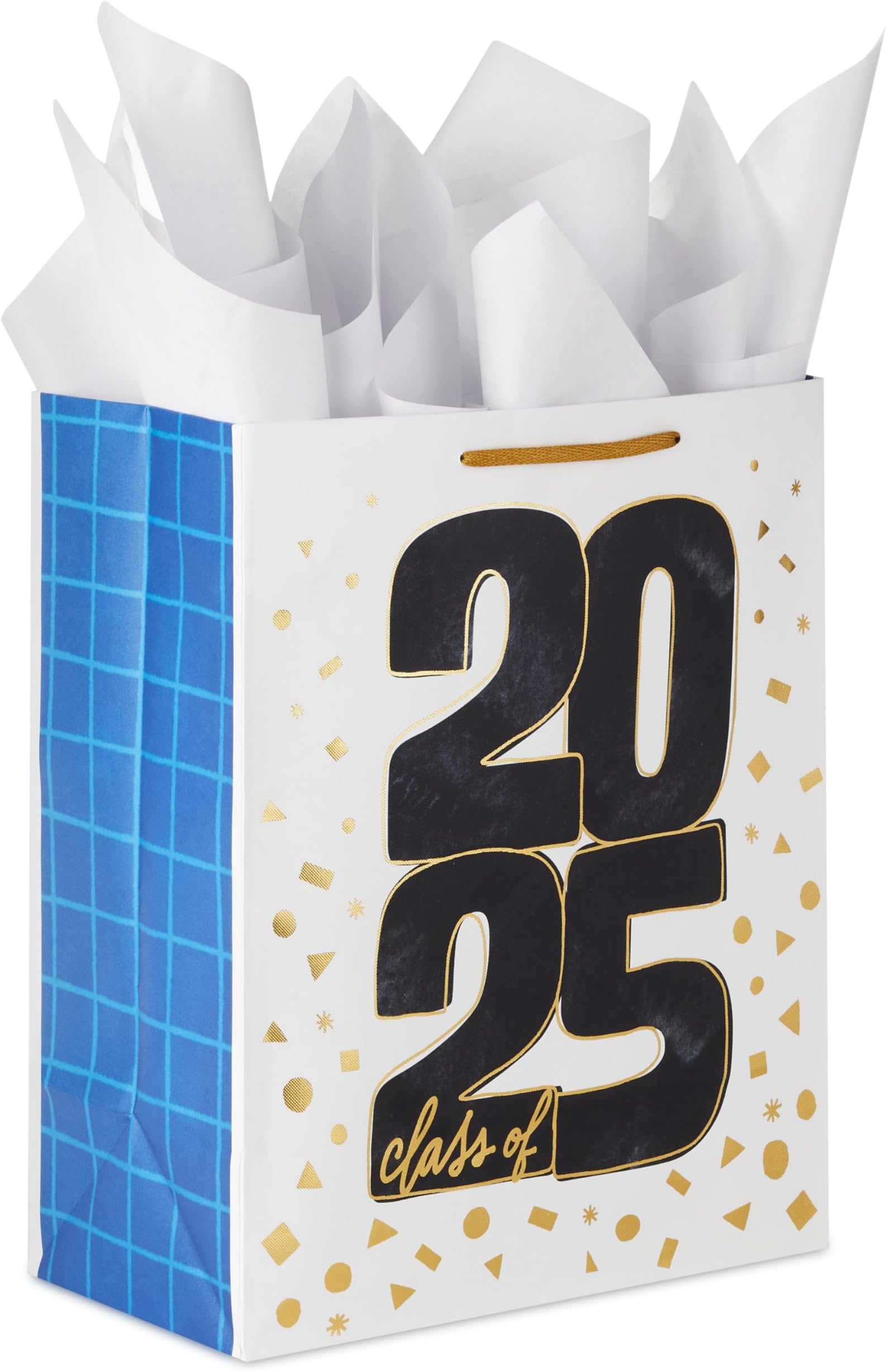 Amazon.com: Hallmark 13" Large White Graduation Gift Bag with Tissue ...