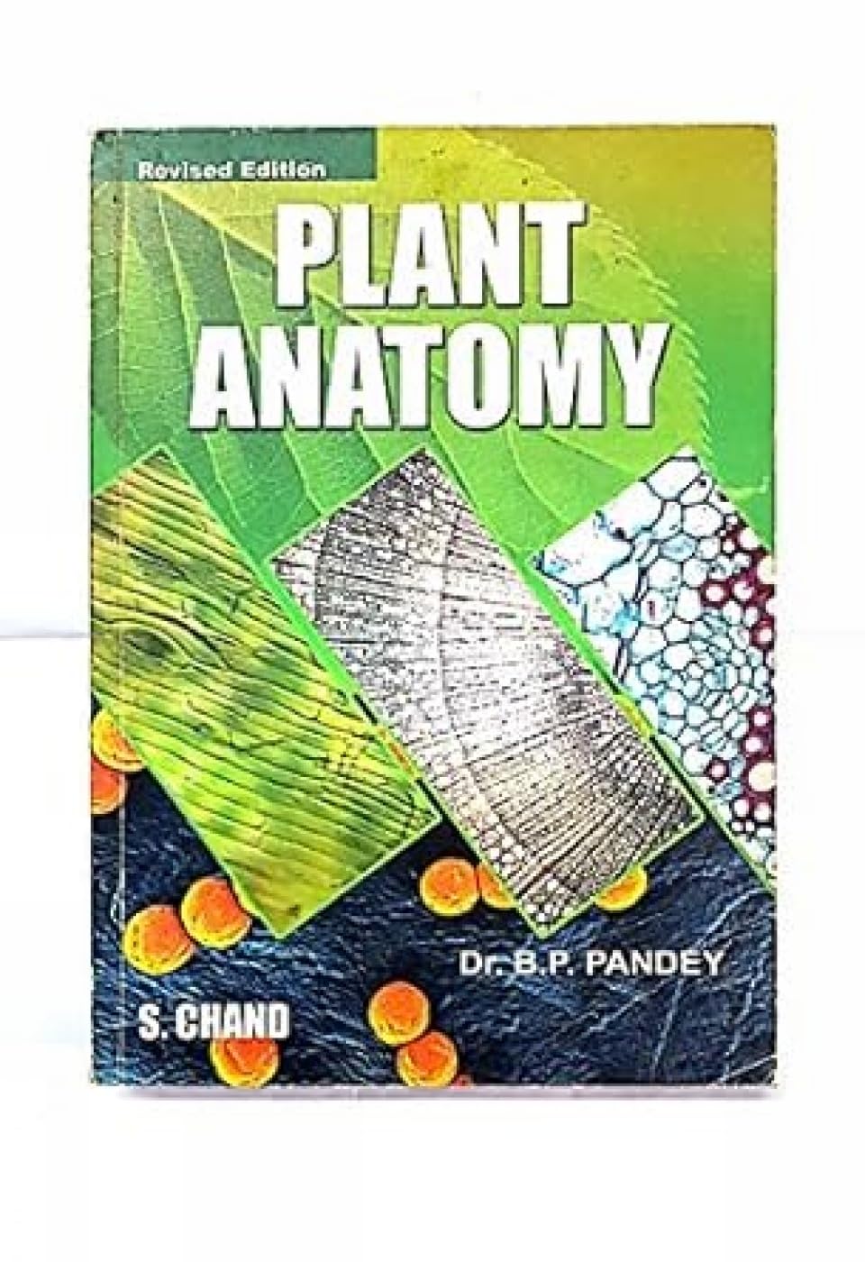 Plant Anatomy: B.P. Pandey: 9788121901451: Amazon.com: Books