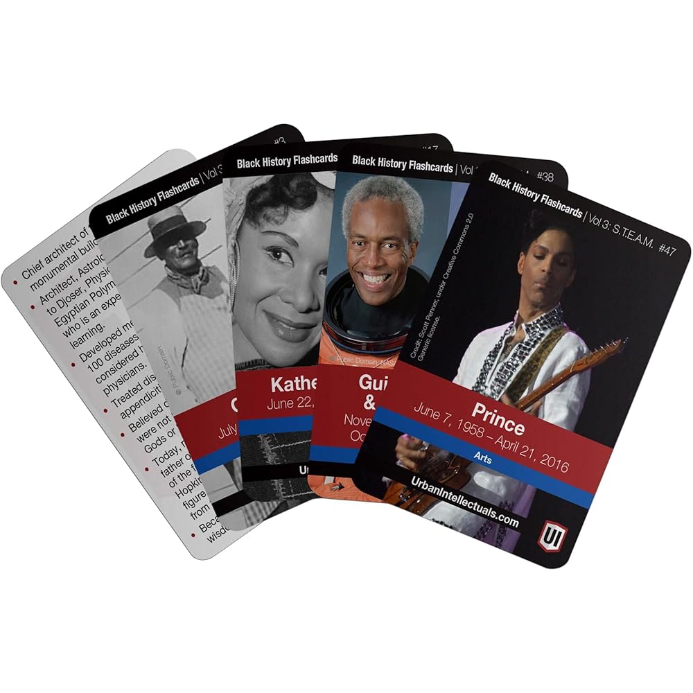 $6/mo - Finance Urban Intellectuals Black History Flash Cards – Volume ...