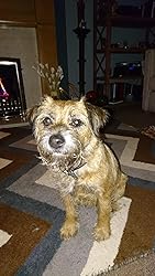 The Happy Dog Cookbook: Biscuits, Burgers,... by Sean McCormack