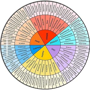 Amazon.com: Feelings Wheel Wooden Sign Emotions Wheel Chart For ...