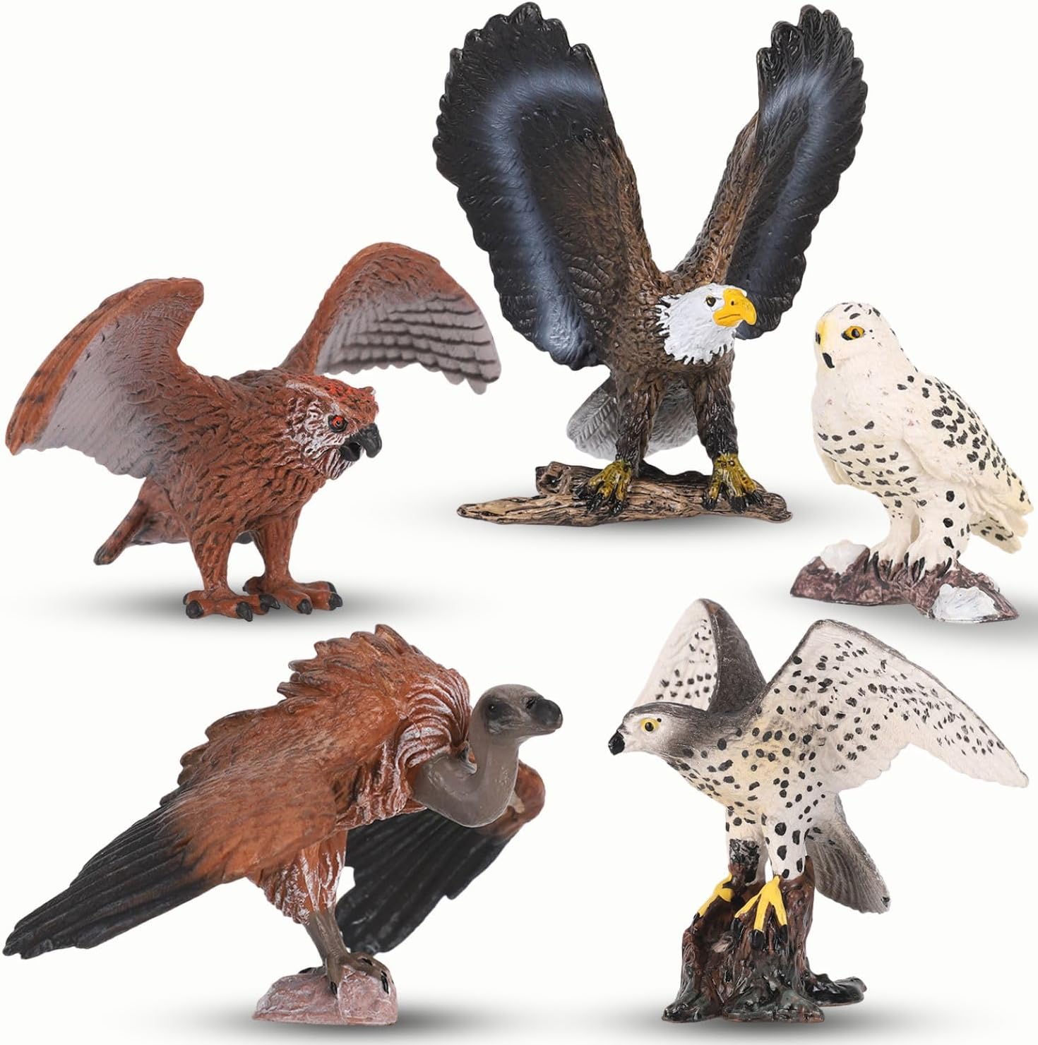 Amazon.com: 5 PCS Birds of Prey Figurines, Plastic Realistic Animal ...