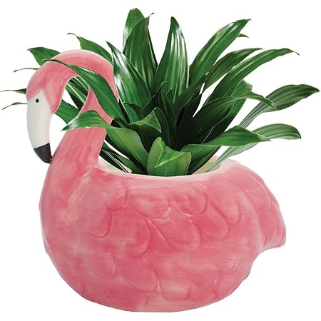 Amazon.com : Streamline Ceramic Flamingo Planter Pot : Patio, Lawn & Garden