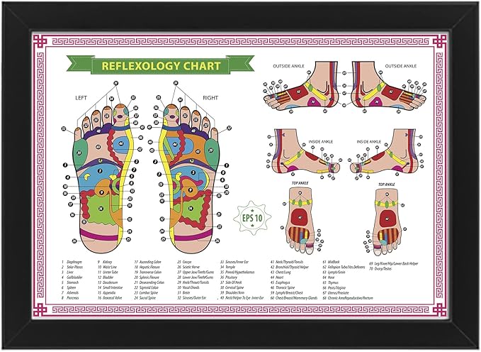 Foot Reflexology Chart, Reflex Zones - Human Body Anatomical System ...